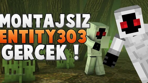 minecraft entity: 1 bin video Yandex'te bulundu
