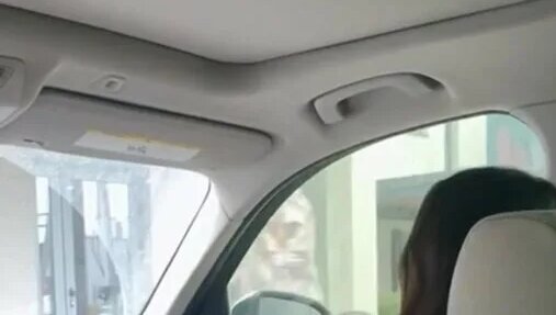 Daryl Tufekci | Wait till the end, based on a true story #lol #fart # ...