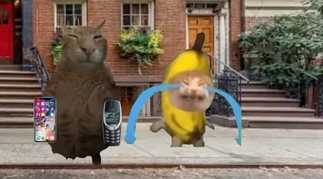 Banana Cat mom Getting Angry ? on Banana Cat? #bananacat #happycats ...