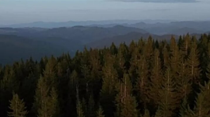 8 мертвецов 8 Found Dead (2022) - смотреть онлайн в хорошем качестве ...