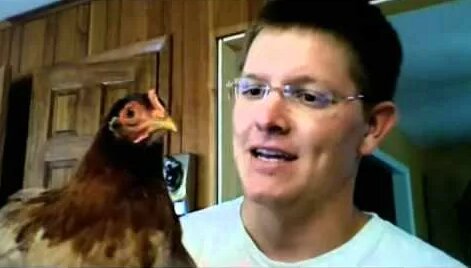 chicken head png: 783 video Yandex'te bulundu