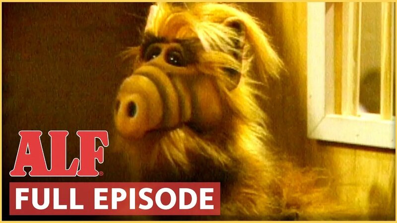 "Wild Thing" | ALF | FULL Episode: S1 Ep19 - Yandex Video aramada ...