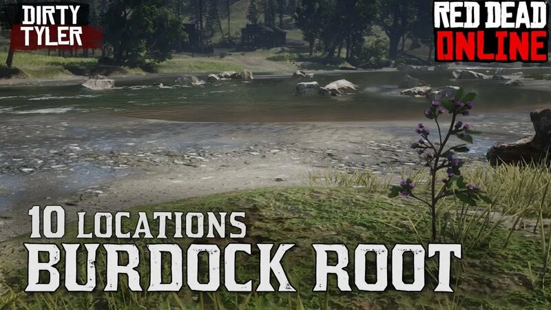 Burdock Root Locations Red Dead Online (Burdock Root Location RDR2 ...