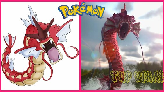 pokemon karakterleri isimleri: 955 video Yandex'te bulundu