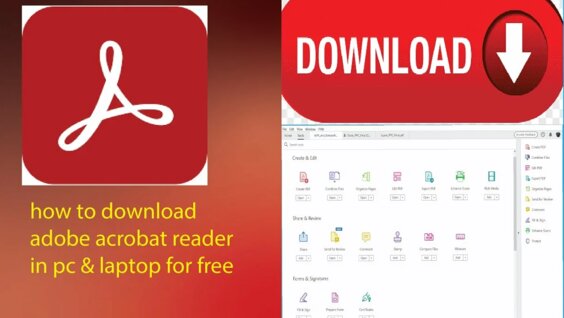 adobe acrobat reader download free: 1 bin video Yandex'te bulundu