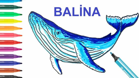 kolay balina çizimi: 880 video Yandex'te bulundu