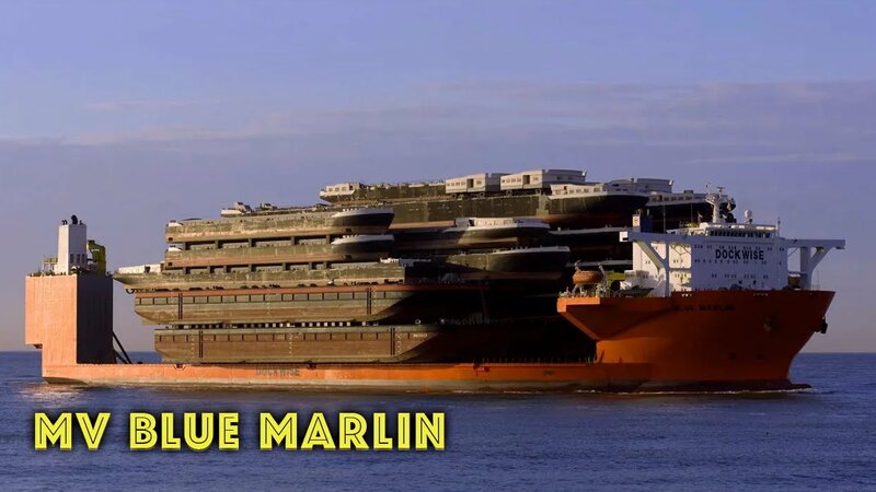 MV Blue Marlin - уникальное судно для перевозки кораблей и нефтяных ...