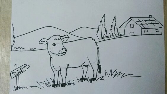 inek resimleri çizimi: 814 video Yandex'te bulundu