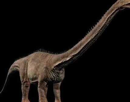 Diplodocus JWE Sound Effects - Смотреть онлайн в поиске Яндекса по Видео