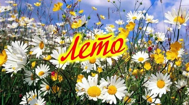 Сборник детских песен о лете. - Смотреть онлайн в поиске Яндекса по Видео