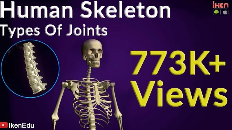 Human Skeleton and Types of Joints | Biology Video | Iken Edu ...