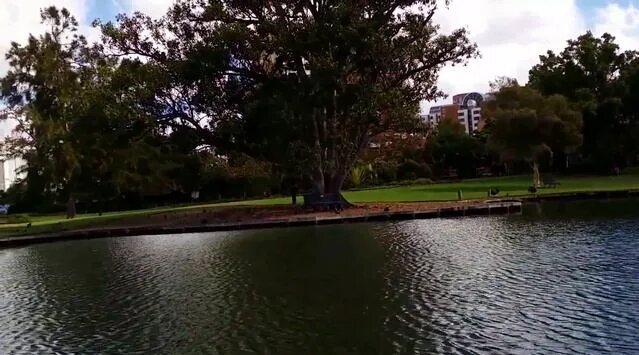 Австралия Природа Австралии Queens Park Красивейший парк Перта (Perth ...