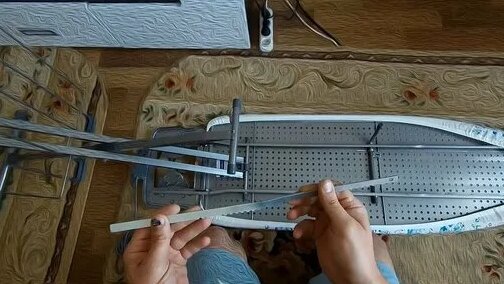 Celestina blooms, lexi sample