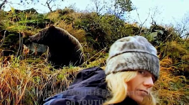 Grizzly Man The Timothy Treadwell Tragedy. Full video (This video ...