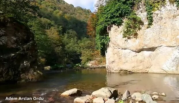 Bahar Alkaya - Yadeller Sarmadan 2019 Official Video hd New - Yandex ...