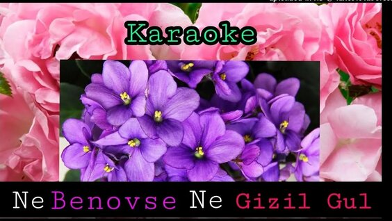 benovse resimleri buket: 433 video Yandex'te bulundu