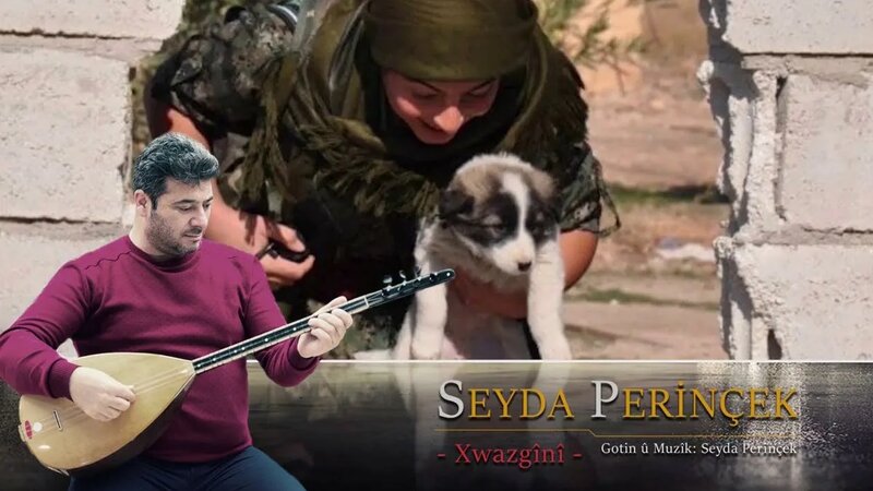 Seyda Perinçek - Xwazgînî - Смотреть онлайн в поиске Яндекса по Видео
