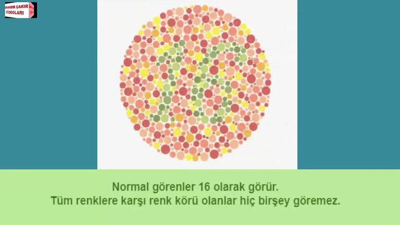 Renk körlüğü testi - Yandex Video aramada çevrimiçi izle