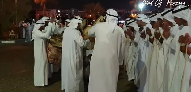 Al Ayyala dance| Stick Dance |UAE Traditional dance - Arabic dance ...