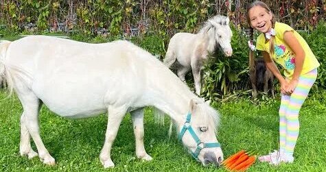 София изучает и кормит Лошадей и Пони на ферме! Познавательные Видео для Детей про Животных ...
