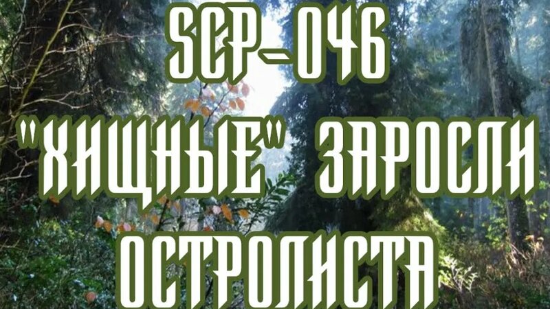 SCP-046 «Хищные» заросли остролиста - Смотреть онлайн в поиске Яндекса ...