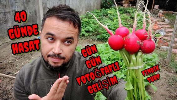 turp resimleri: 844 video Yandex'te bulundu