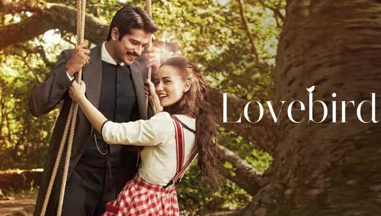 Choliqushi Turk seriali HD Ozbek tilida 31-qism — Видео от Uzbek Tilida ...