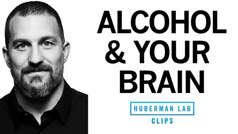 What Alcohol Does to Your Brain | Dr. Andrew Huberman - Yandex Video ...