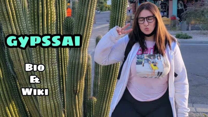 Gypssai Wiki And Biography | Blogger | Brand Promoter | Age | Height ...