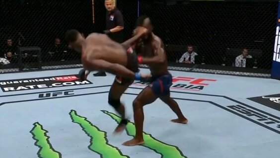 joaquin buckley spinning back kick knockout: 771 video Yandex'te bulundu