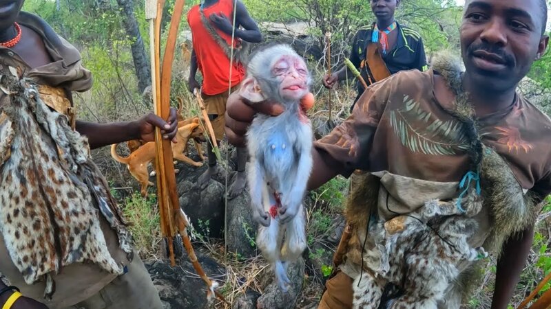 Hunting Monkeys and Eating Them with the Hadzabe Tribe - Смотреть ...