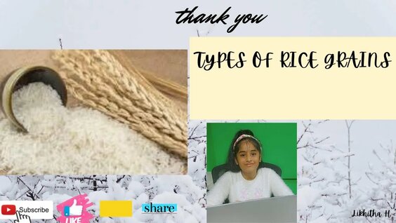 Rice grain image classification project using python - Data Science ...