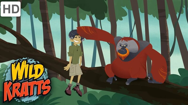 Wild Kratts | A Huge Orange Problem | Full Episode | Season 1 ...