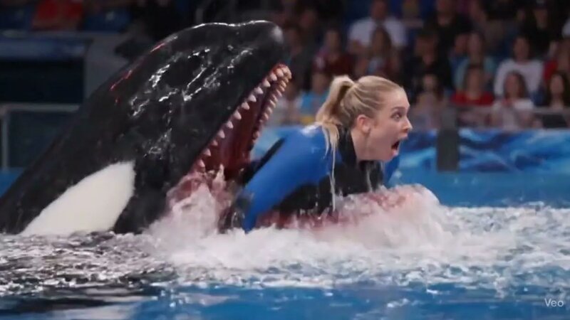 Dolphin Attack: The Moment Jessica Was Eaten!" Atak Dòfen: Momant kote ...