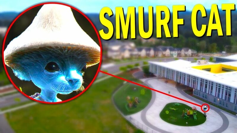 Drone Catches Smurf CAT IN REAL LIFE!! *WE LIVE WE LOVE WE LIE ...