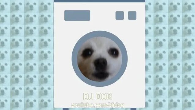 세탁기 종료음 유명한 곡 2개 (LG, 삼성) 강아지 리믹스 (Washing Machine Song Gabe the Dog ...