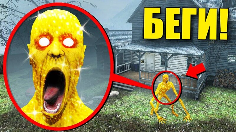 ЕСЛИ Увидишь Этого Золотого Скромника Возле ДОМА, Срочно БЕГИ! УГАР И ...