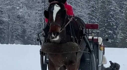 Ipx 562 azusa hikari