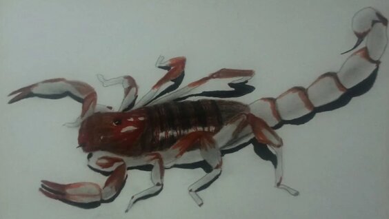 akrep karakalem: 862 video Yandex'te bulundu