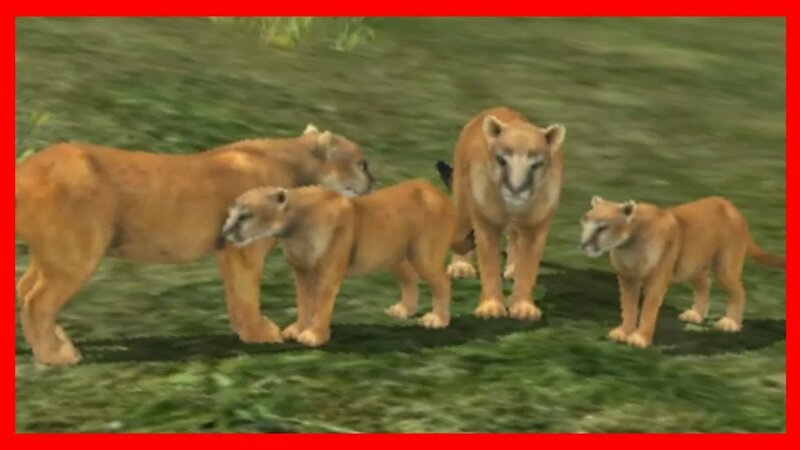Симулятор ПУМЫ #3 Семья ПУМЫ Дикая Кошка в Puma Sim - Смотреть онлайн в ...