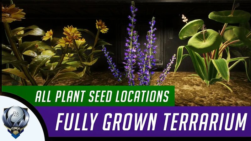 Star Wars Jedi: Fallen Order - Fully Grown Terrarium - All 10 Plant ...