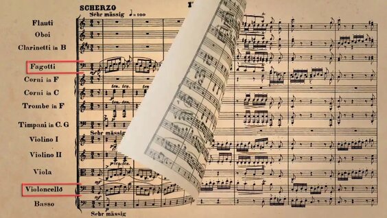 müzik ve nota resimleri: 1 bin video Yandex'te bulundu