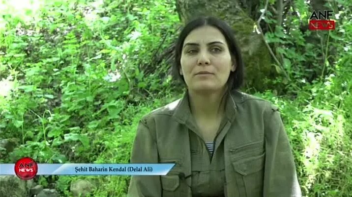 Видео Bahari n Kendal - Delal Ali | OK.RU - Yandex Video aramada ...