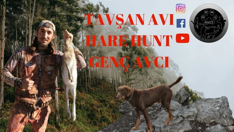 Tavşan AVI 5 Kopayla Tavşan Avı- Κυνηγι Λαγου- Hare Hunting- GENÇ AVCI ...