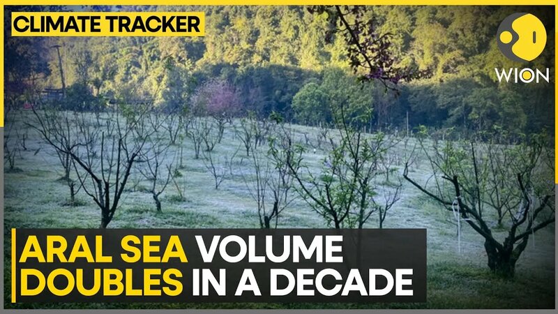 Once Dry, Aral Sea Sees New Life; Water Conservation Project Boosts ...