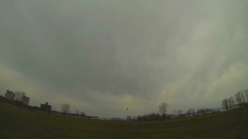 Roman Pirozek Jr Align Trex 700E DFC HV 3/31/13 - Смотреть онлайн в ...