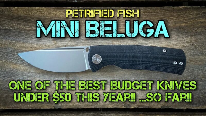 Petrified Fish Mini Beluga - Full Review!! One of the best EDC knives ...