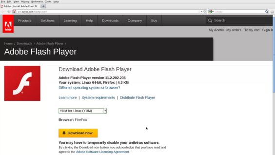 flash player yükle: 1 bin video Yandex'te bulundu