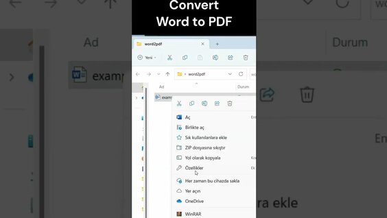 convert word to pdf python: 1 bin video Yandex'te bulundu
