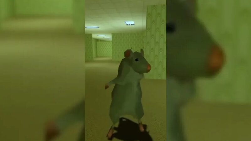 1 Hour Dancing Rat Meme (Jesus Mus1c - Chess Type Beat) TikTok ...